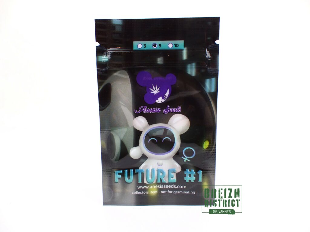 Anesia Seeds Future #1 X5